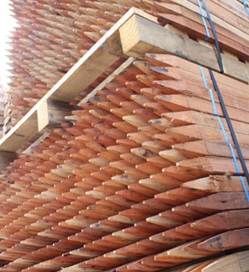 Steel Cap Pegs Port Stephens | The Pegman